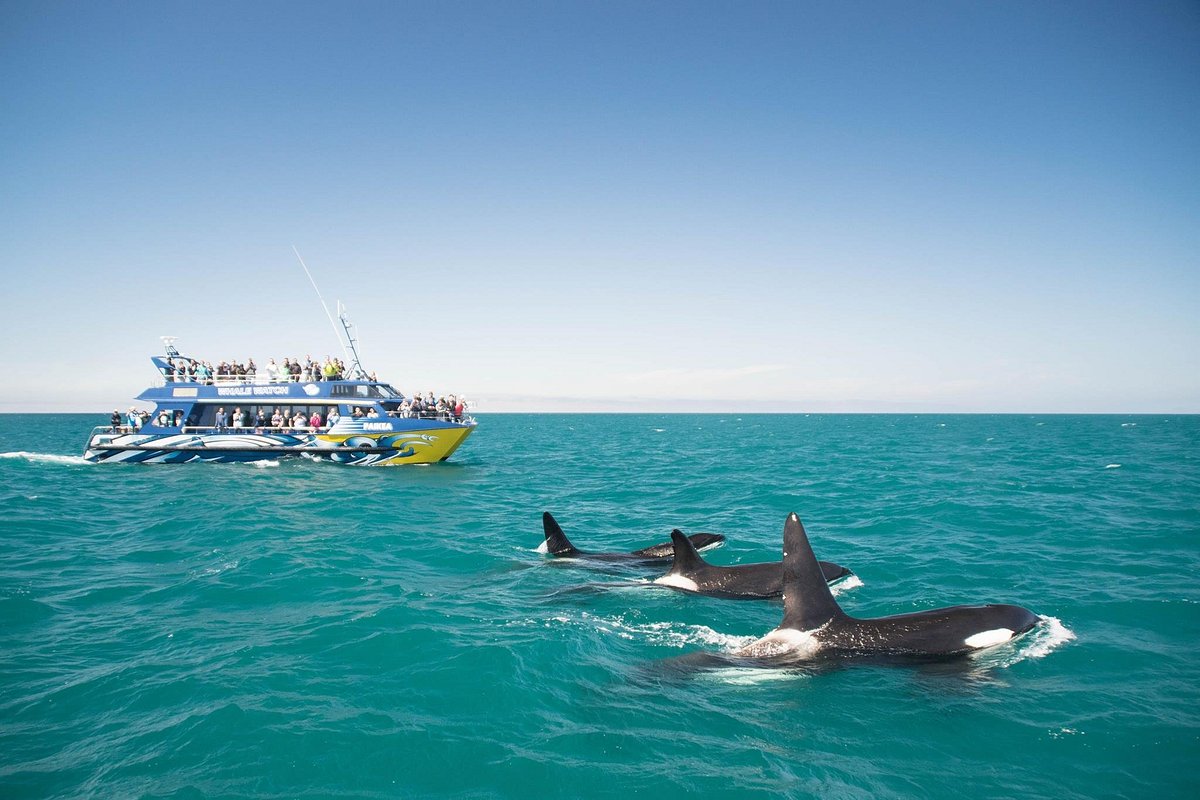 Kaikoura