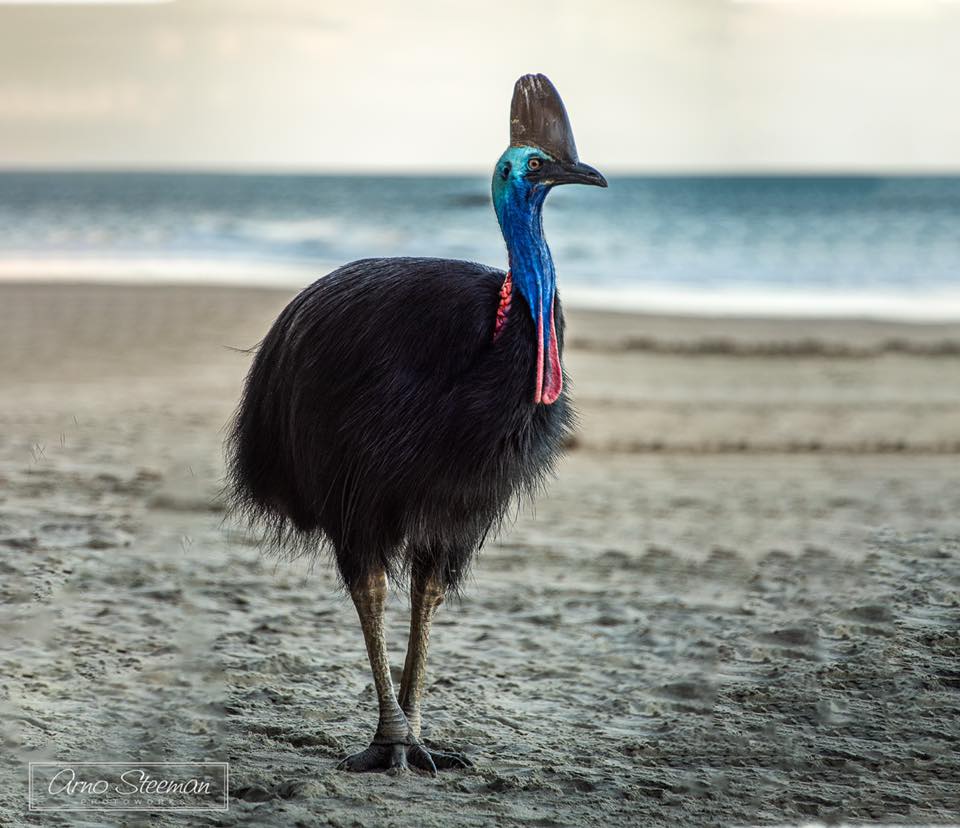 Wat te doen in Australië: de 50 hoogtepunten die je niet mag missen!